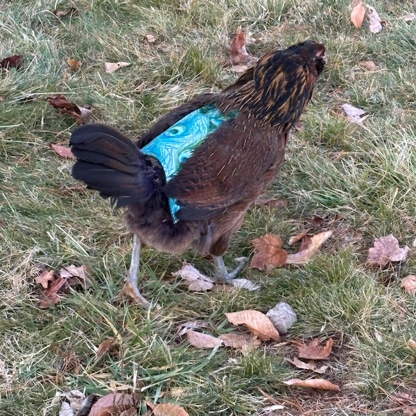 Mermaid Chicken Tutu - Etsy