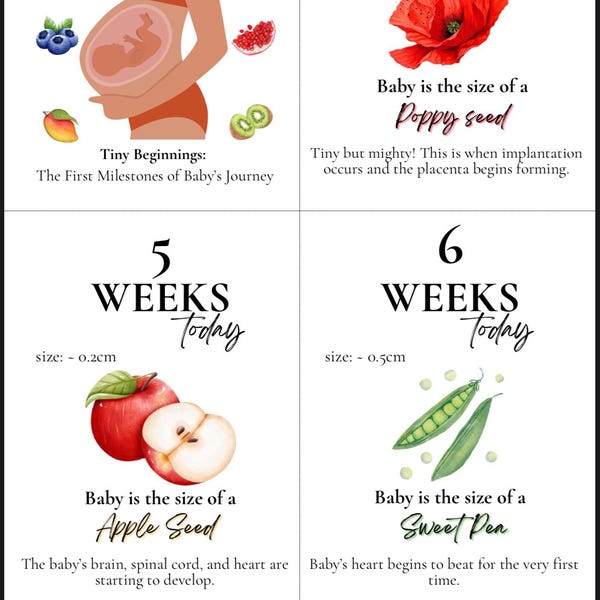 Printable Pregnancy Milestone Cards, Sweet Treats to Track Baby’s Size ...