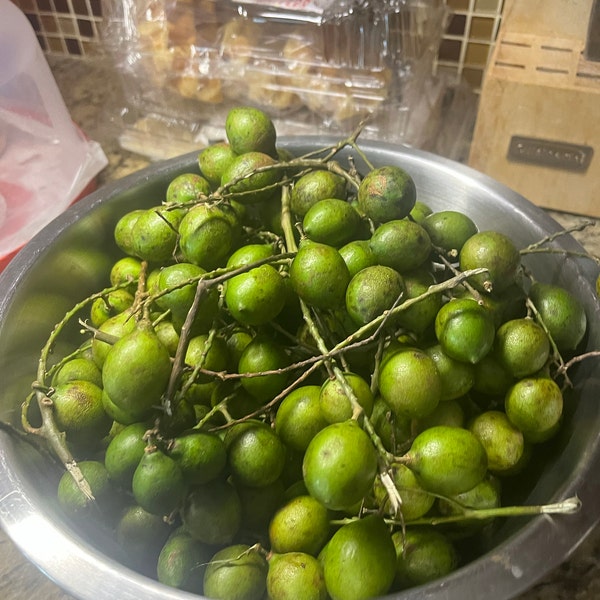 The Pinkglow® Pink Pineapple Gift Box - Etsy