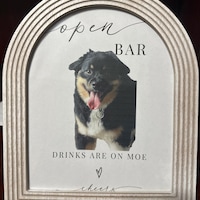 Open Bar Dog Sign, Pet Photo Drink Sign for Wedding, Bar Menu Sign ...