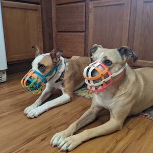 Biothane Basket Dog Muzzle Open Nose Adjustable Extra | Etsy