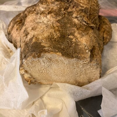 Bean Top Crop Bush Bean Seeds ,cool BEANS N Sprouts Brand. Home ...