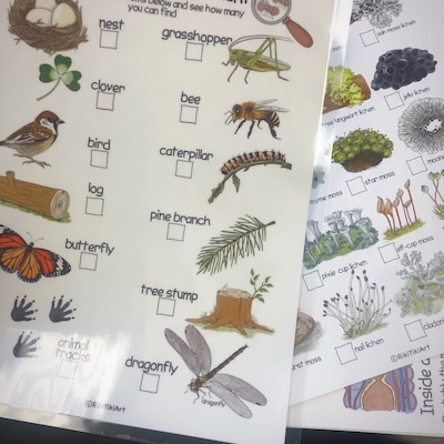 Printable Nature Journal Homeschool Learning Materials Charlotte Mason ...