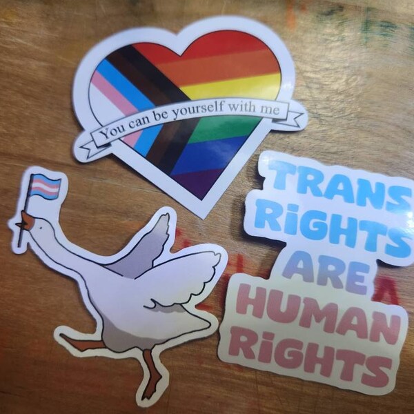 LGBTQ Queer Trans Heart Transgender Sticker Pride Sticker Be Yourself ...
