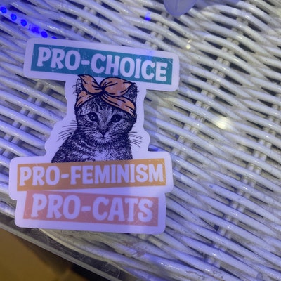 Pro-choice, Pro-feminism, Pro-cats Vinyl Die Cut Sticker, Feminist ...