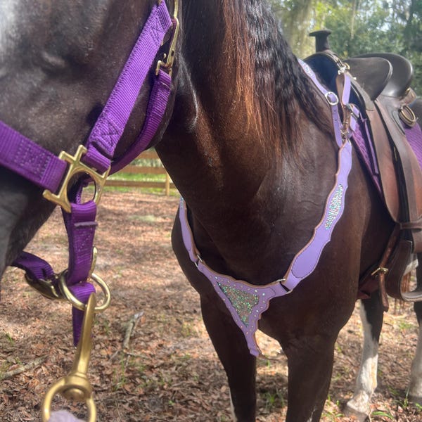 Pattern Pack: 7 Bronc Halter & Noseband Templates for Leatherwork - Etsy