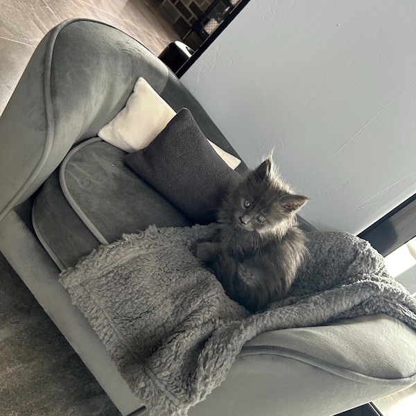 Nido Cat Bed Covers - Etsy