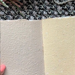 Printable Fuzzy Cutting Butterflies Spring Tulips - Etsy