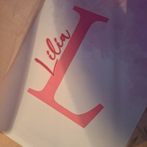 Gabby Dollhouse Poster Room Decor, Custom Name Digital Print, Gabby ...