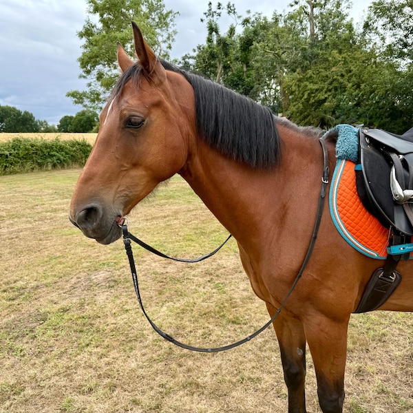 Leather Bridle-less Bit - Etsy