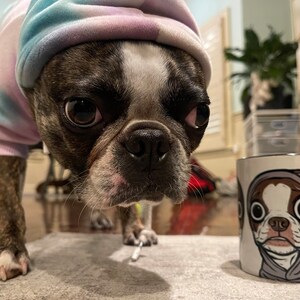 Zap Rowsdower Sticker Pack - Etsy