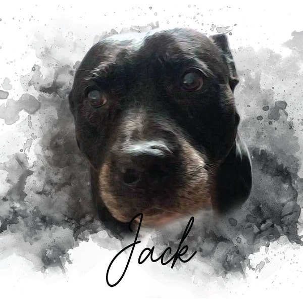 Personalised Staffy Pet Portrait | Custom Staffy Watercolour Portrait ...