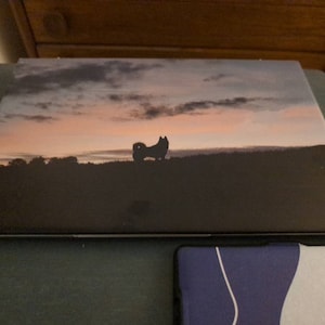 Treeline and Mountain With Compass SUV Vinyl Decal Sticker, Treeline ...