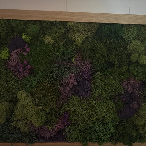 DIY Moss Art Kit – Easy Preserved Moss Frame Craft | Make Your Own ...