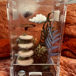 Jumping Spider Food Dish Jumping Spider Enclosure - Etsy