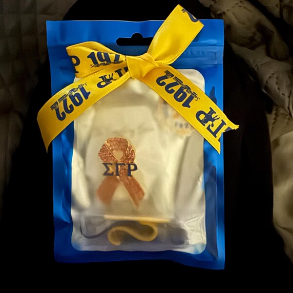 Sigma Gamma Rho ΣΓΡ 2 Rubies & 10 Pearls Brooch - Etsy