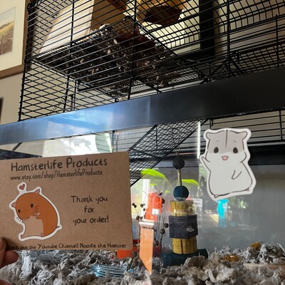 Hamster Treat Box Flaxspray Foraging Flowers Rosehips Dried Fruit ...