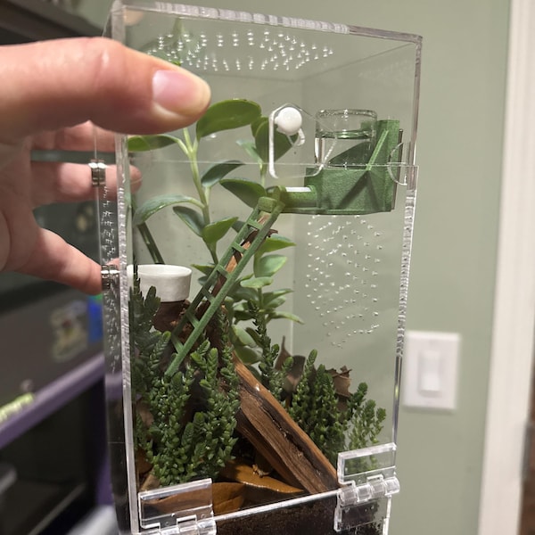 The Original Jumping Spider Water Station Hanging Magnetic Wicking ...