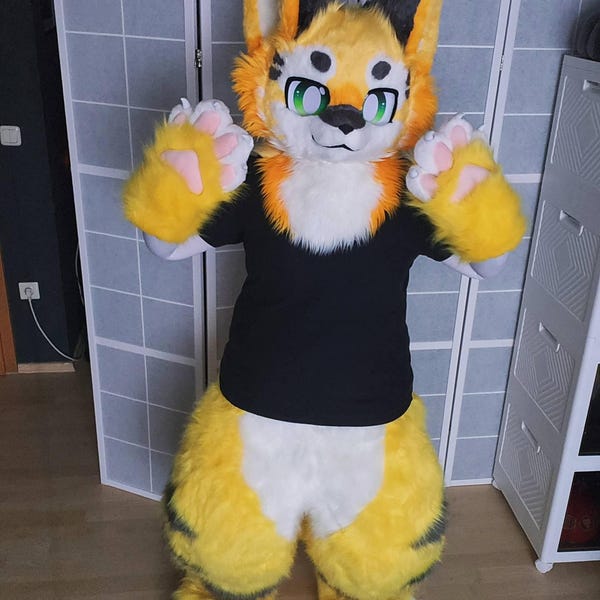 Toony Footpaw Fursuit Kemono Toony Kigurumi Fursona Kawaii Outdoor Foot ...