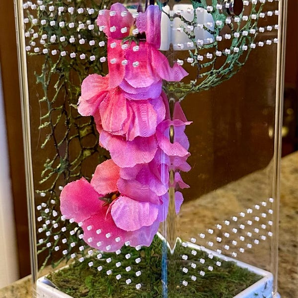 Cherry Blossom Hanging Spider Gym | Jumping Spider Exercise Playground ...