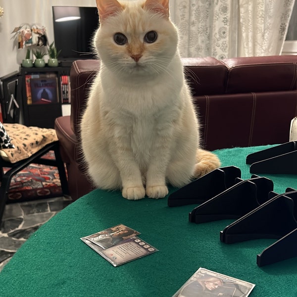 Wingspan Egg and Food Token Organizer With a Magnetic Lid Base Game and ...