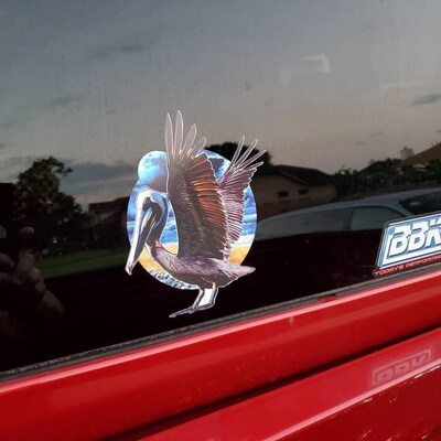 Moonlight Pelican Decal, Full Color Pelican Decal, Moonlight Pelican ...