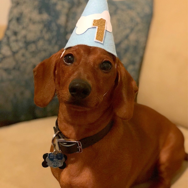 CUSTOMIZABLE Dog Bone MINI Birthday Cake Smash Party Hat / Headband in ...