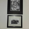 Lokelani Rose Linocut Print, Official Island Flower of Maui, Original ...