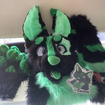 Protogen Furry Reference Sheet/template - Etsy