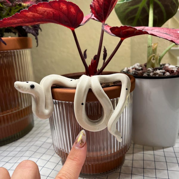 Blueberry Snake Pot Perch - Plant Pot Decoration - Etsy
