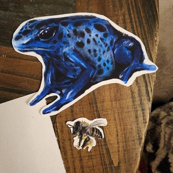 Frog Art Print Poison Dart Frog Art Print Amphibian Animal Artwork ...