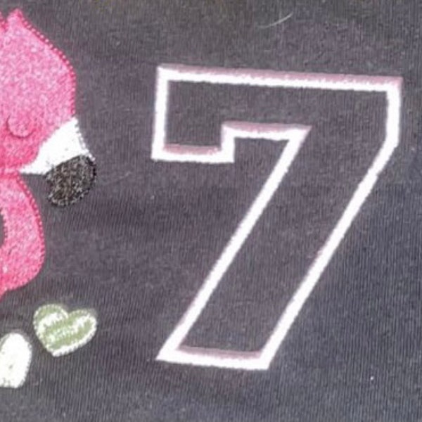 Number Applique Machine Embroidery Designs, Applique Numbers, Number ...