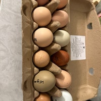 Egg Carton Price Label Price Tag Fresh Eggs Egg Carton - Etsy