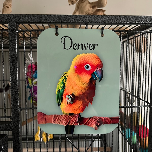 Guinea Pig Name Tag, Guinea Pig Accessories, Pet Tag, Guinea Pig ...