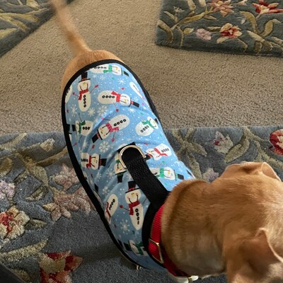 Racing Checkered Flag Fleece Dog Harness Coat - Etsy