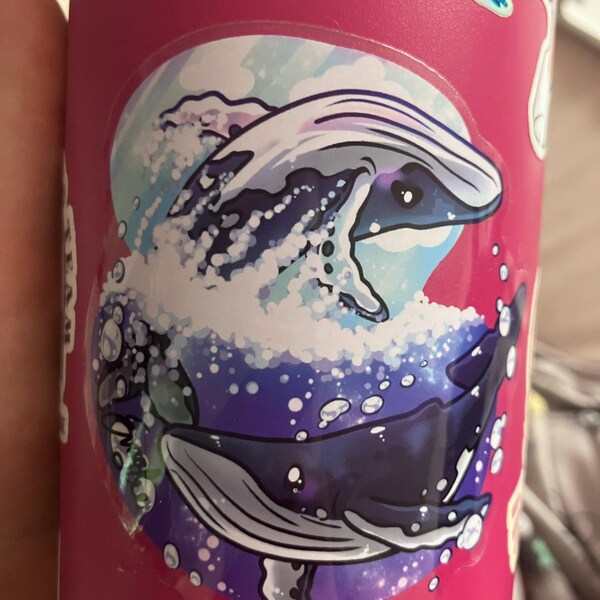 Cute Seal Sticker, Alaskan Sea Life Sticker, Harbor Seal, 3inch Water ...