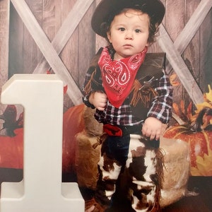 6 PIECES. My First Rodeo Cowboy Birthday Outfit Party Set Baby | Etsy
