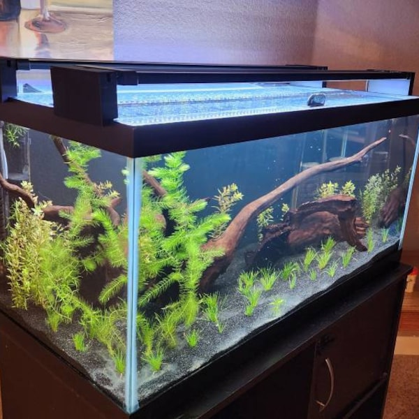 Nicrew Classic, Gen 2, G2, & Plus LED Light Riser, Attractive Stable ...