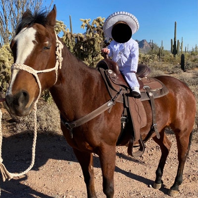 Beautiful 6 Pieces Boy Charro Suit, White With Silver Charro Suit With ...