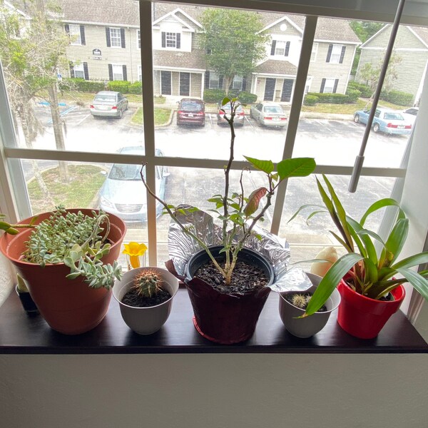 Plant Shelf for Window Sill | Window Sill Shelf | Farmhouse Decor ...