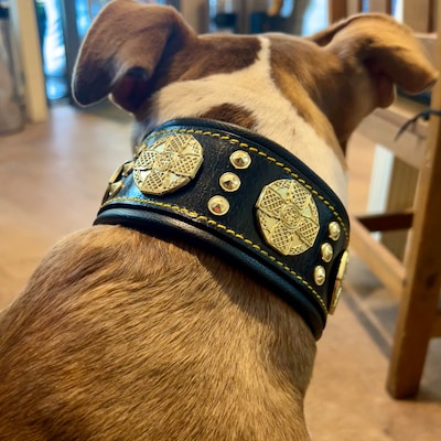 Bestia™ Genuine Leather gladiator Harness. Spikes & Studs. Soft Padded ...