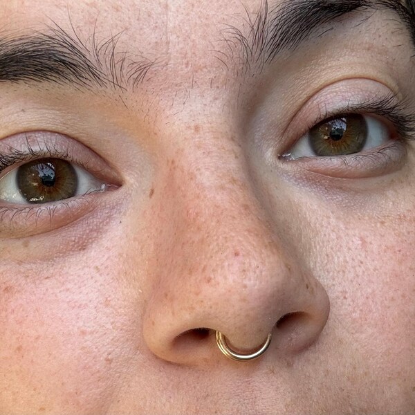 TITANIUM Crescent Triple Septum Ring Hinged Clicker. 14g 5/16 8mm Inner ...