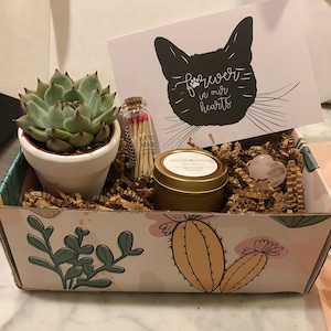 CAT SYMPATHY GIFT Loss of Cat Cat Loss Sympathy Gift Sorry for Your ...