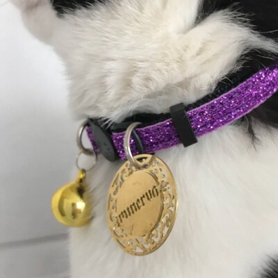 Fancy Custom Personalised Cat Pet ID Tag Gold Brass LORD KITTINGTON - Etsy