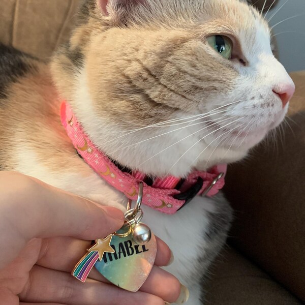 Treats Collar Charms Pet Charm, Pet Jewelry, Pet Accessories, Cat ...