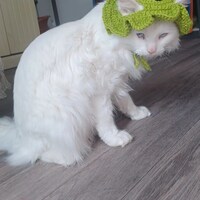Crochet Lemon Hat for Cats - Etsy UK