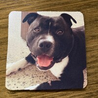 Blue Heeler Cattle Dog Sign - Etsy Australia