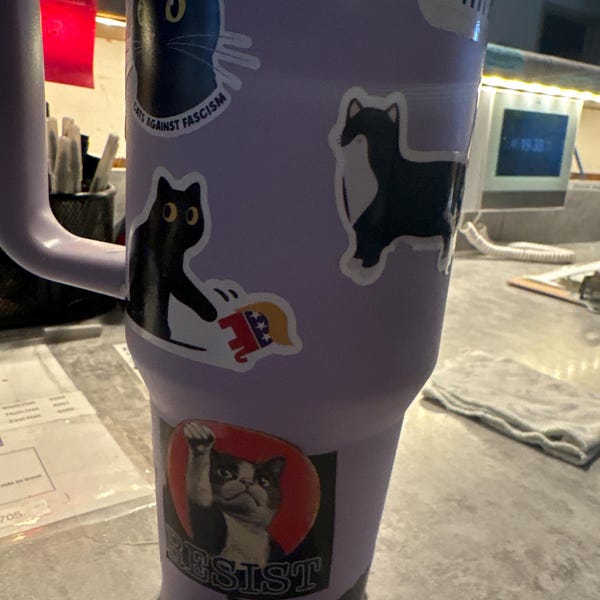 Resist Cat Square Stickers | Vintage Cat Art | Protest Stickers ...