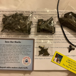 Make Yer Own Shark Art Kit Reef Shark - Etsy