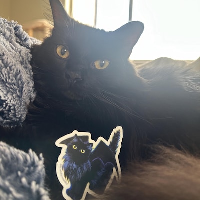 Raining Cats 12x20 Print, Internet Cats, Smudge, Lil Bub, Grumpy Cat ...